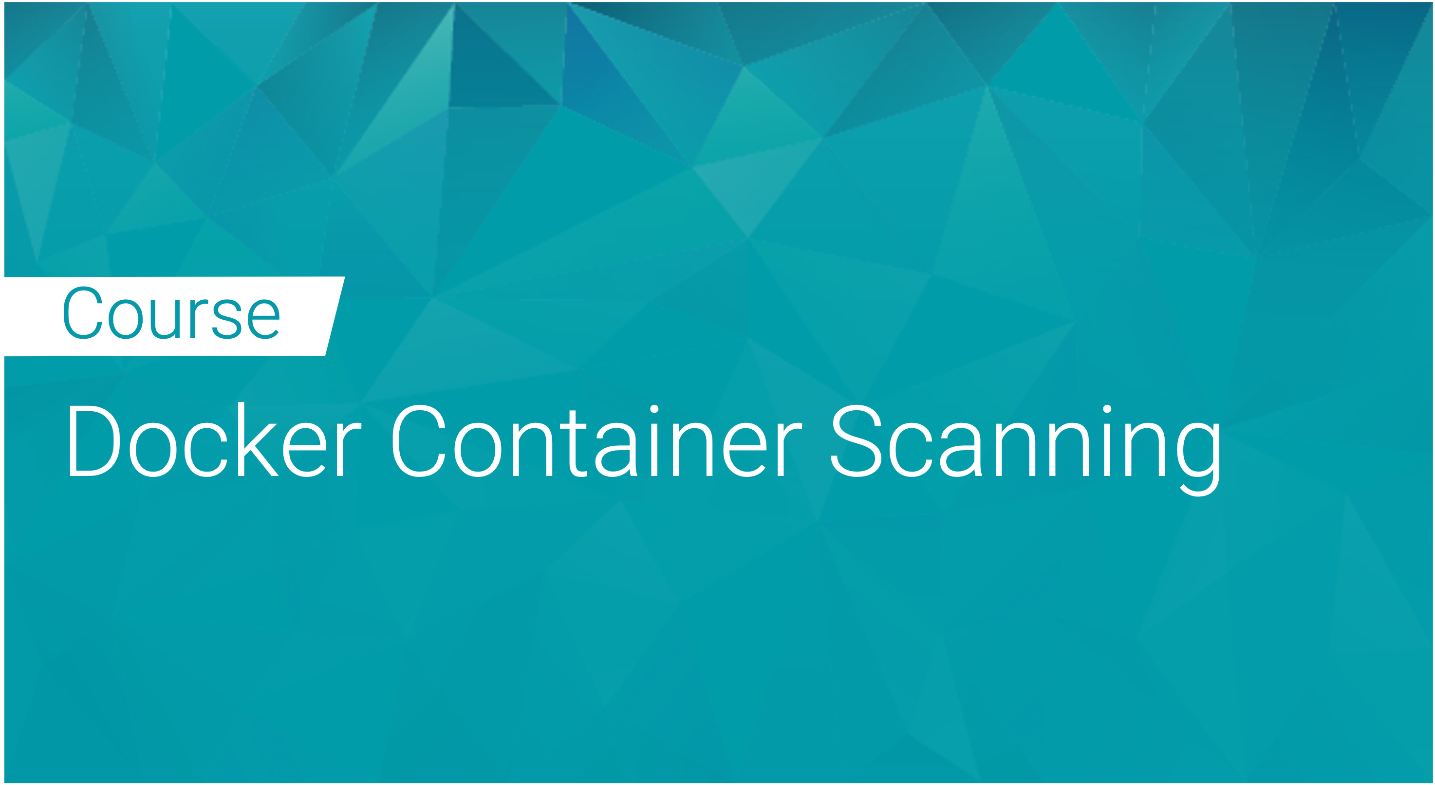 Black Duck Binary Analysis Docker Container Scanning